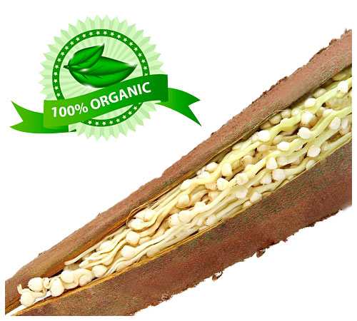 Hurma Poleni'nin Faydaları | HURMA SHOP